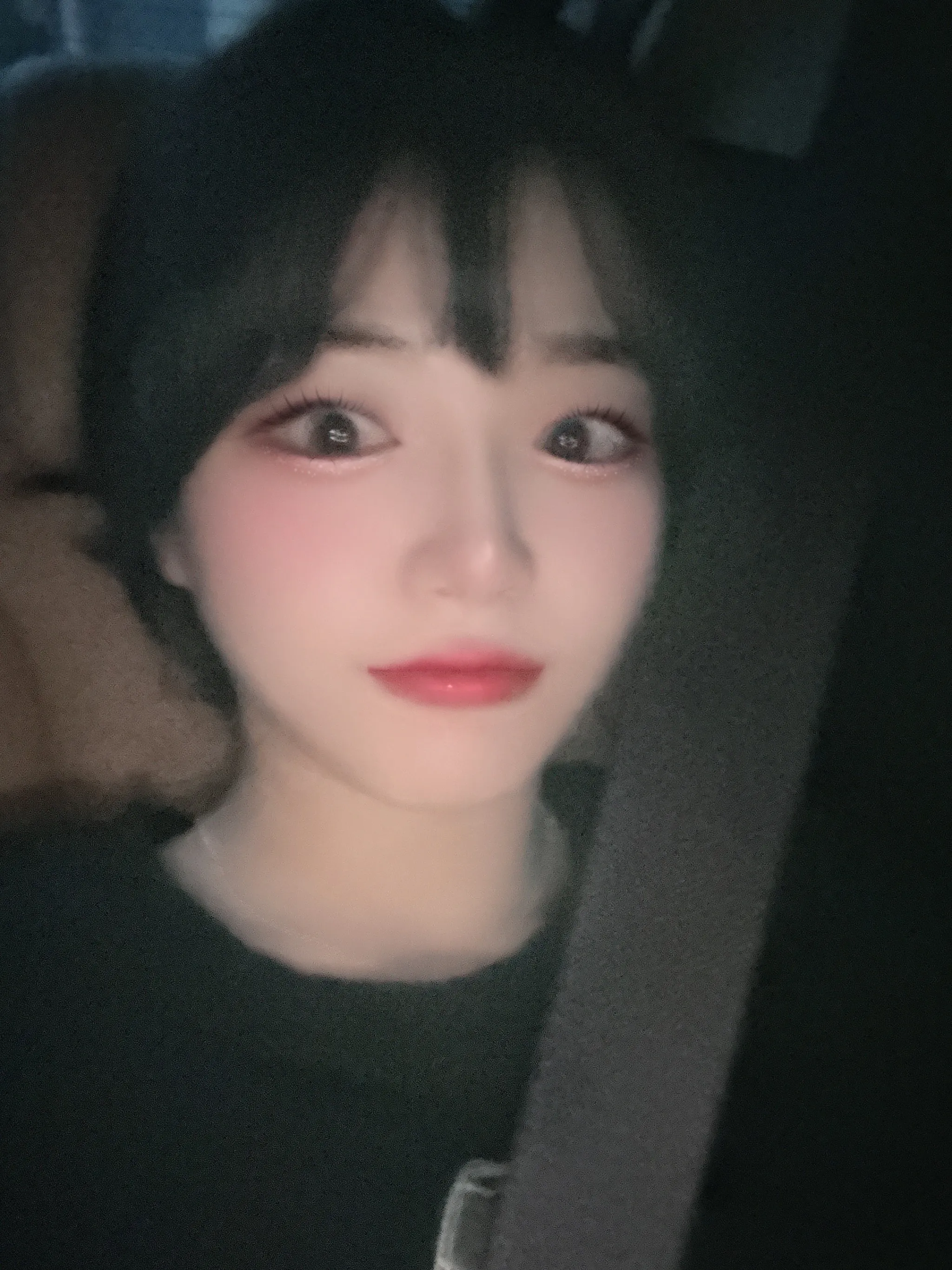 YXL / YB - 하랑e 공지사진에서 빵지니랑 무찌가 보이는데